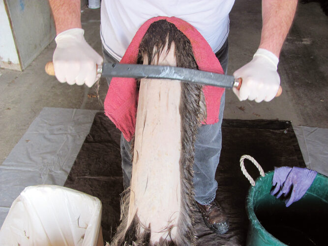 How to Tan a Deer Hide at Home – Mother Earth News